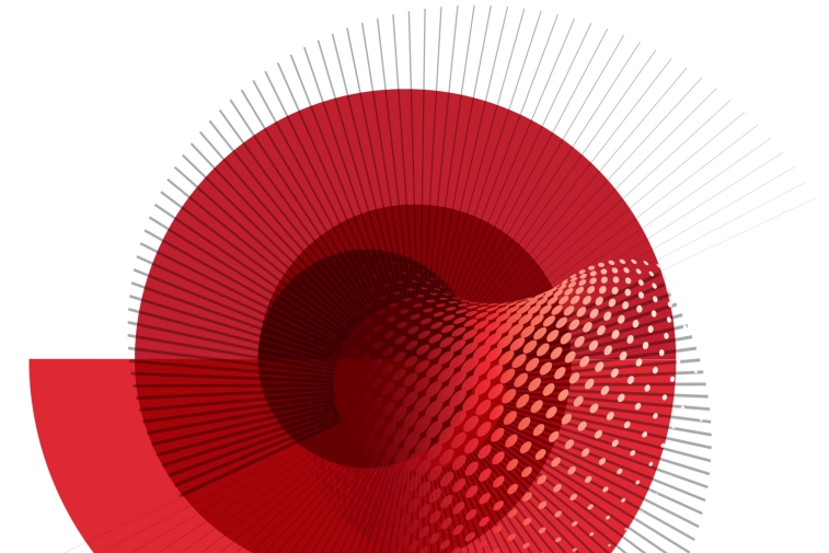 European Association of Cardiovascular Imaging (EACVI)