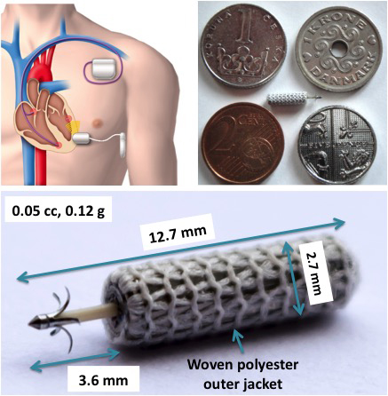 First in a series on leadless pacing: Percutaneous implantable ...