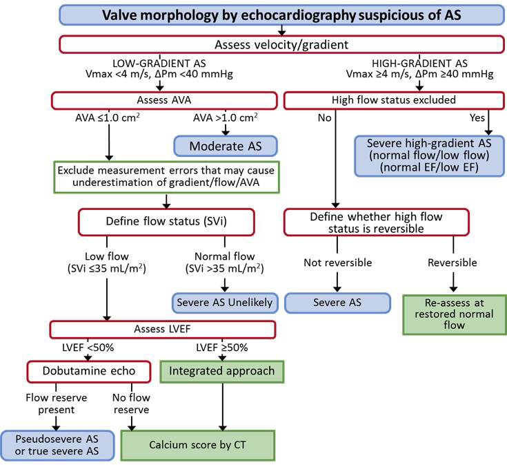 What is new for general cardiologists in the 2017 ESC Guidelines on ...