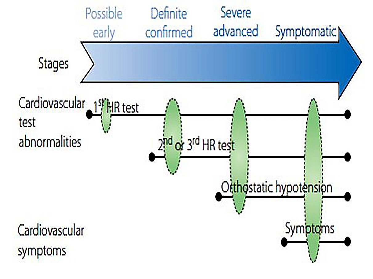 Fourth in a series on diabetes and the heart: Diabetic cardiovascular ...